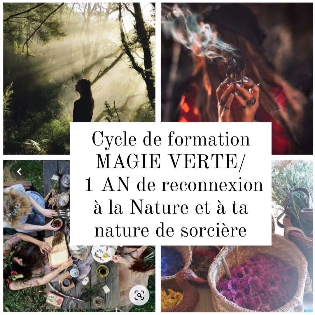 Cycle de Formation " MAGIE VERTE" 1 AN de reconnexion à la Nature et à ...